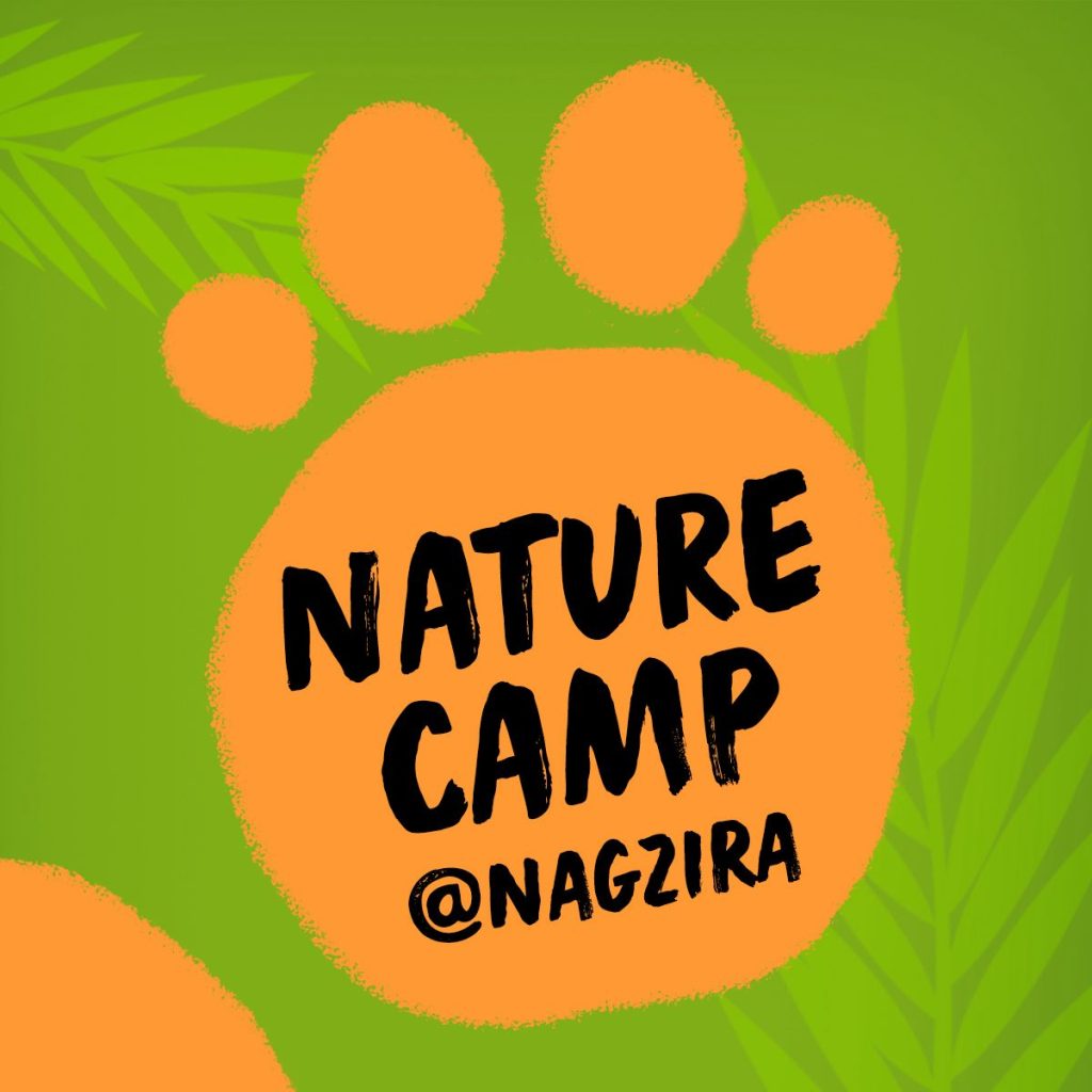Nature Camp @ Nagzira Payment - Green Works Trust
